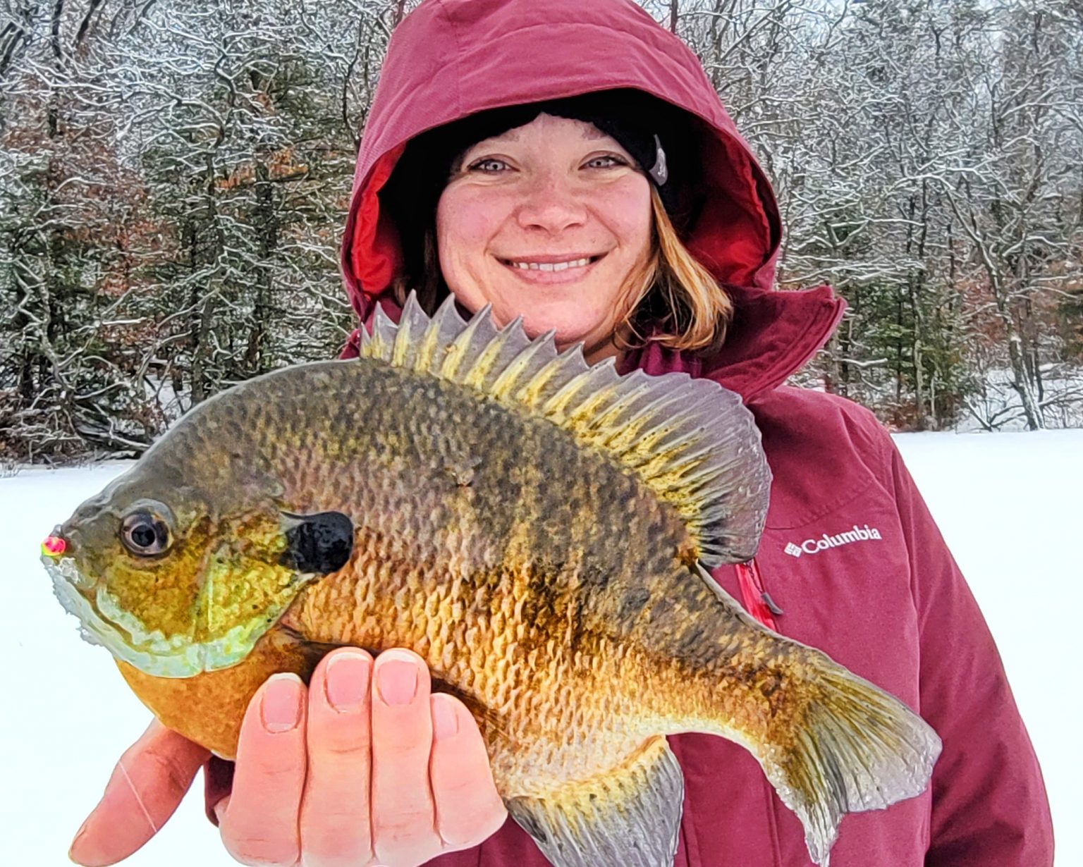 2020 Ice Season Was Amazing! - Mr.Bluegill - Wisconsin Fishing Guide